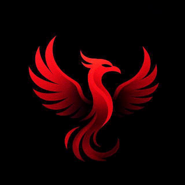 HUMO GROUP | Sifatli xizmatlar, buyurtma boshqaruvi, statistik tahlil ...